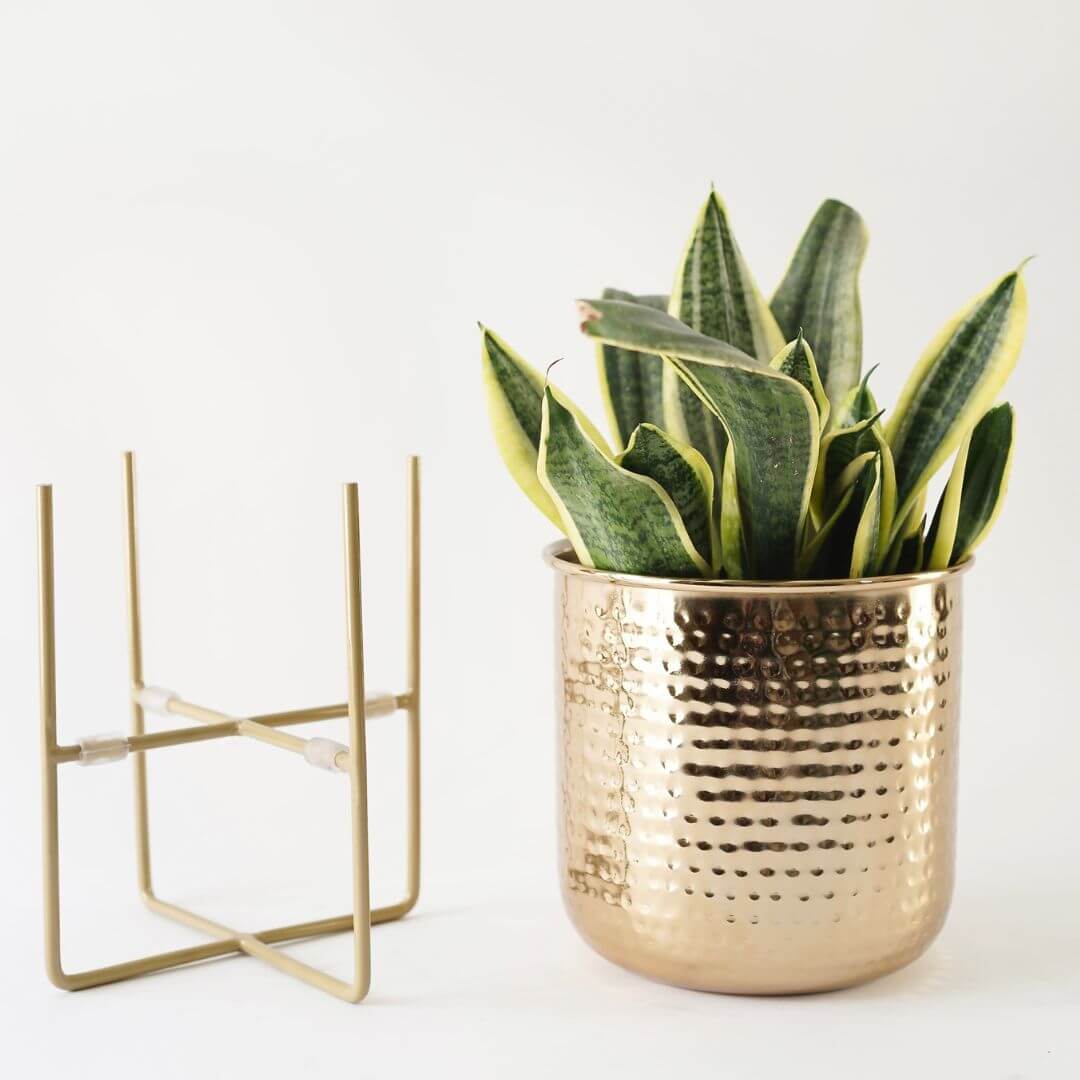 Hammered Metal Indoor Planter, Small, Gold